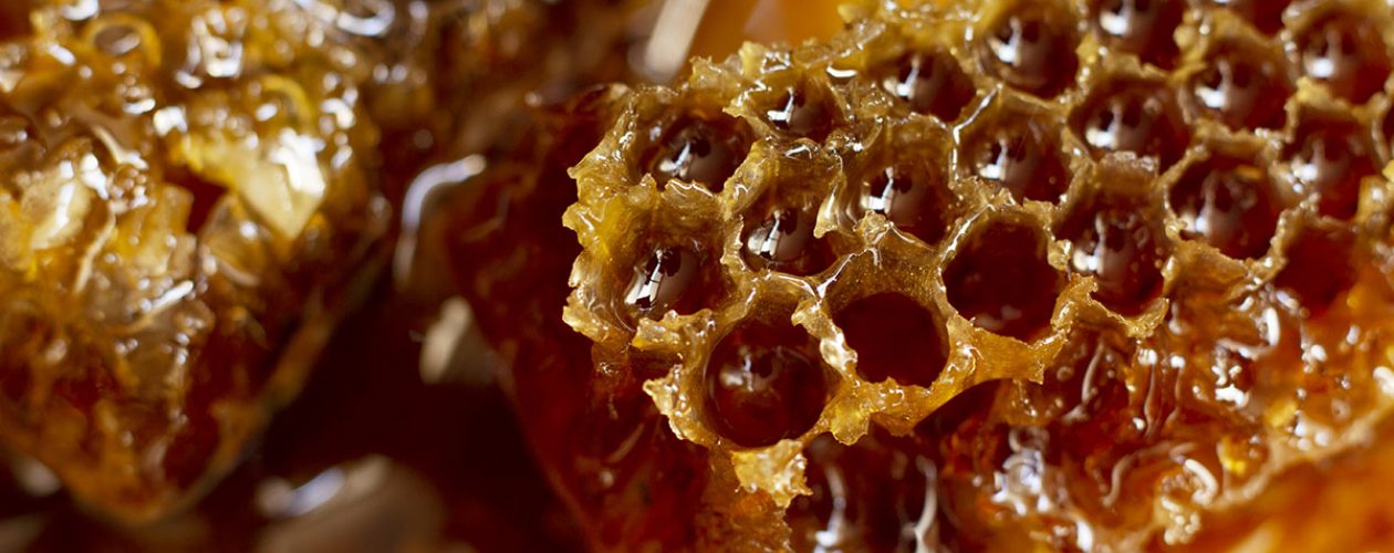 Para que sirve la Miel de Abeja - Soyimaster